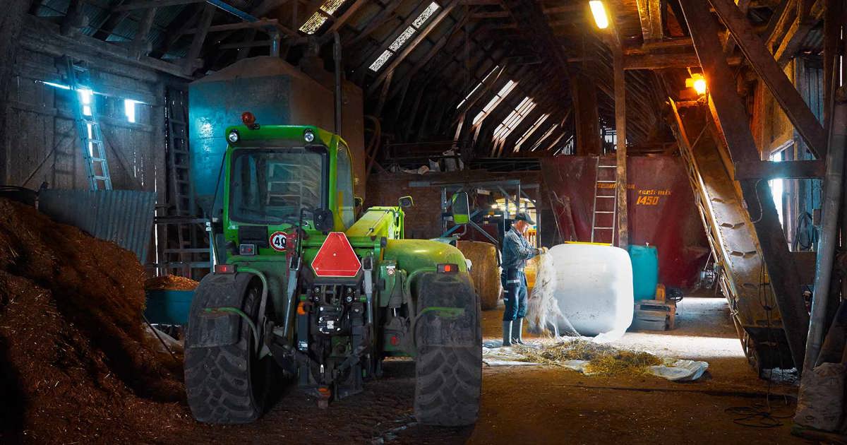 Good Milk from Arla Farms | Arla Philippines